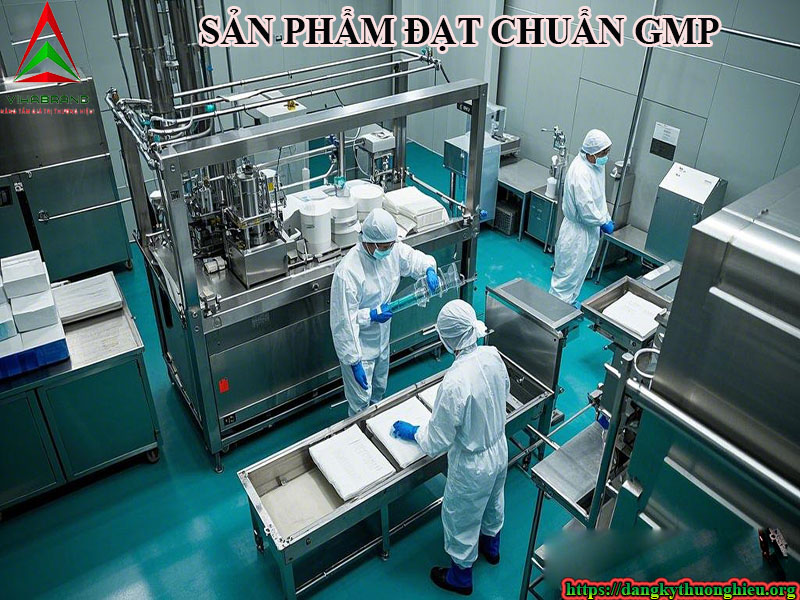 Tiêu chuẩn GMP trong sản xuất dược phẩm giúp đảm bảo chất lượng TPHCM