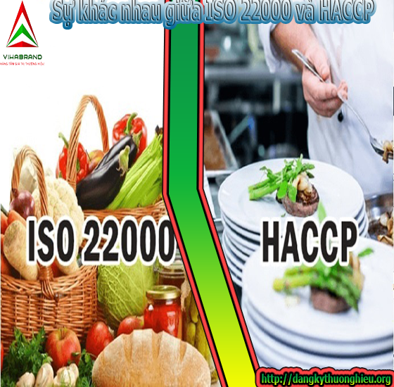 Iso 22000 và HACCP khác nhau như thế nào?